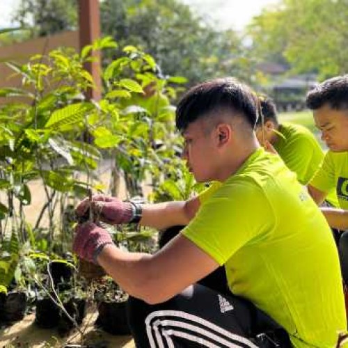 MR.DIY CSR: Home Improvement - Chinese New Year Edition | MR D.I.Y.